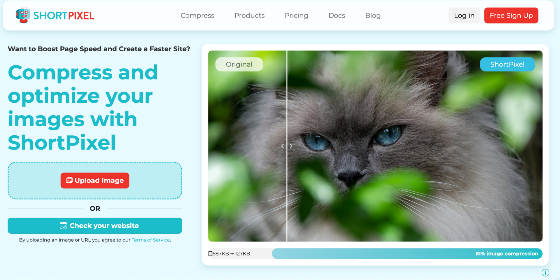 Wedding Photo Apps: 6 Must-Have Tools for Every Photographer