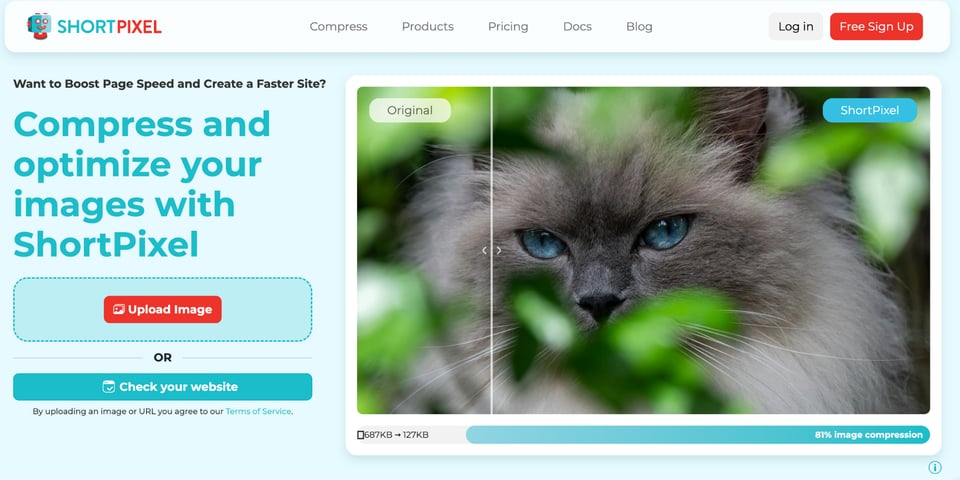 Wedding Photo Apps: 6 Must-Have Tools for Every Photographer